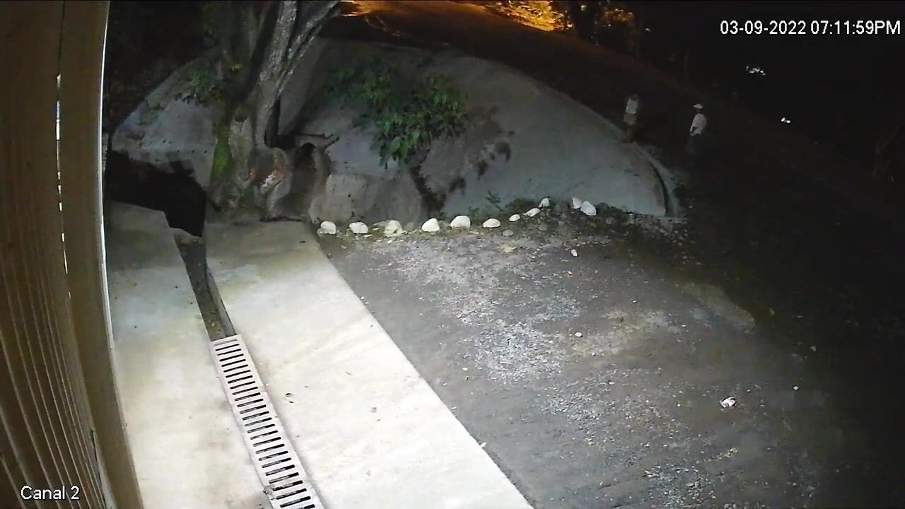 Drunk Man Fights With Wife And Falls Into River