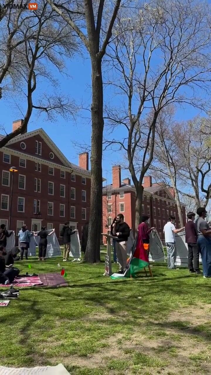 Watch Hundreds Of Harvard Students Embrace Islam