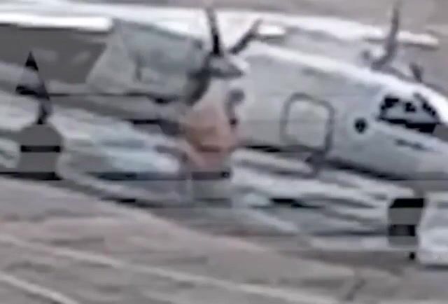 Plane Propeller Rips Off Airport Employee's Head