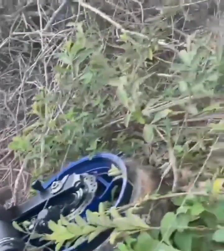 Minor Accident In Brazil