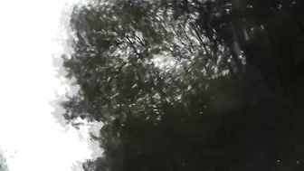 Vile Videos – Your Portal to the World's Most Shocking and Horrible Visuals